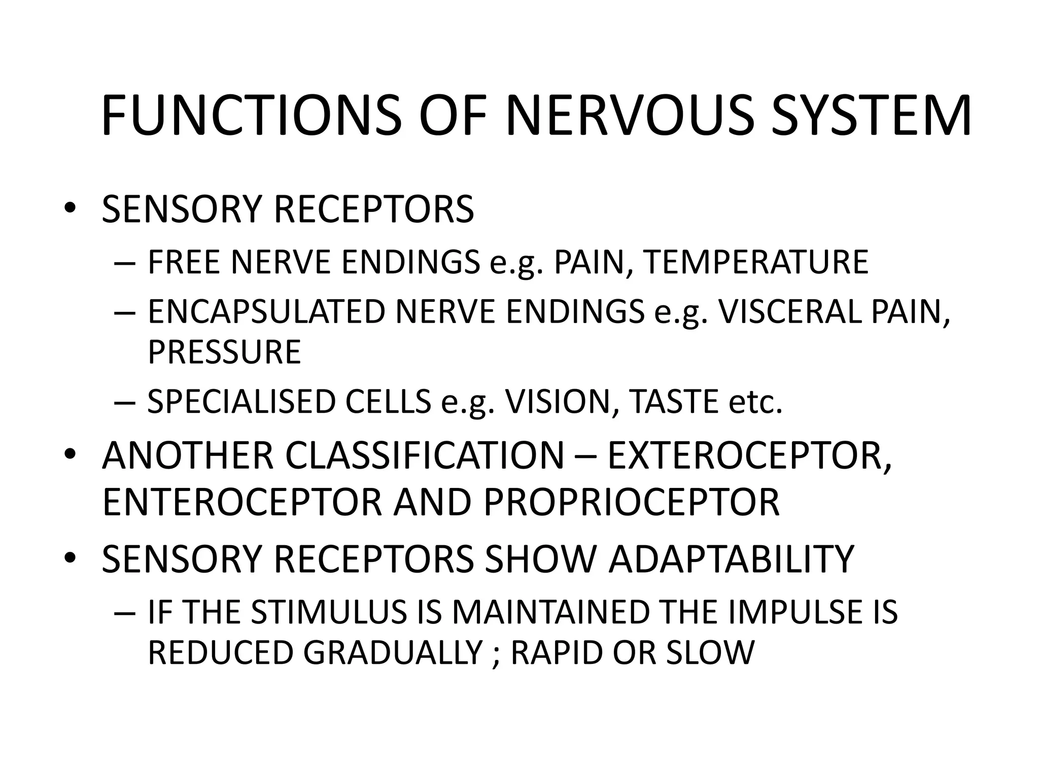 NERVOUS SYSTEM CLASS 6.pptx