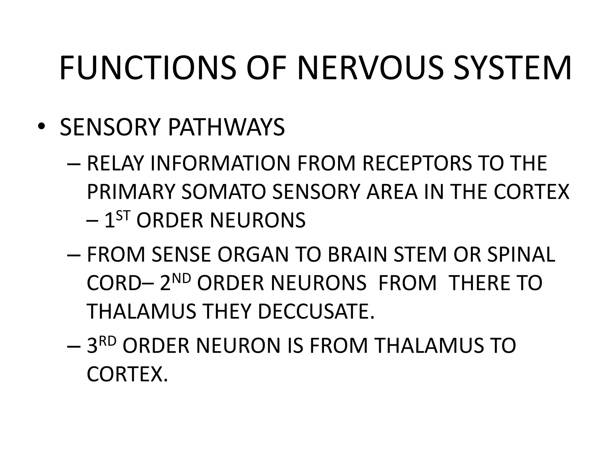 NERVOUS SYSTEM CLASS 6.pptx