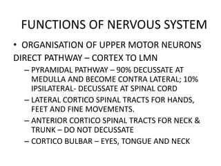 NERVOUS SYSTEM CLASS 6.pptx