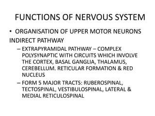NERVOUS SYSTEM CLASS 6.pptx