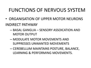 NERVOUS SYSTEM CLASS 6.pptx
