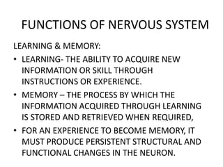 NERVOUS SYSTEM CLASS 6.pptx