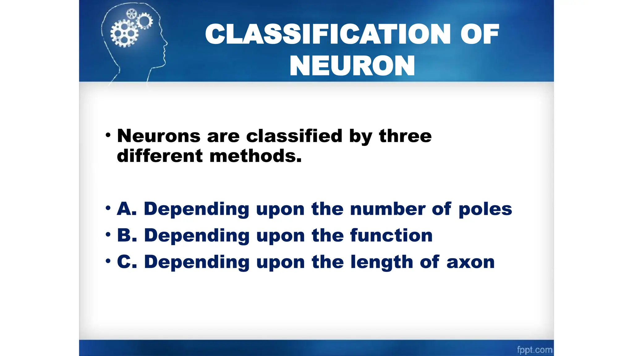 NERVOUS SYSTEM, CLASSIFICATION & STRUCTURE OF NEURON & NERVE FIBERS.pptx