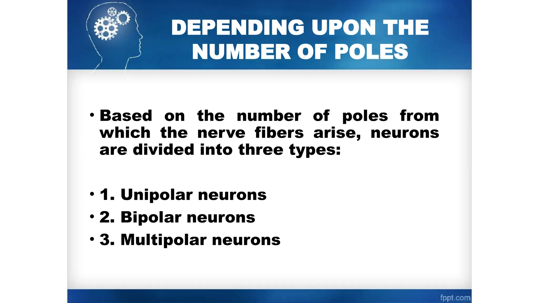 NERVOUS SYSTEM, CLASSIFICATION & STRUCTURE OF NEURON & NERVE FIBERS.pptx