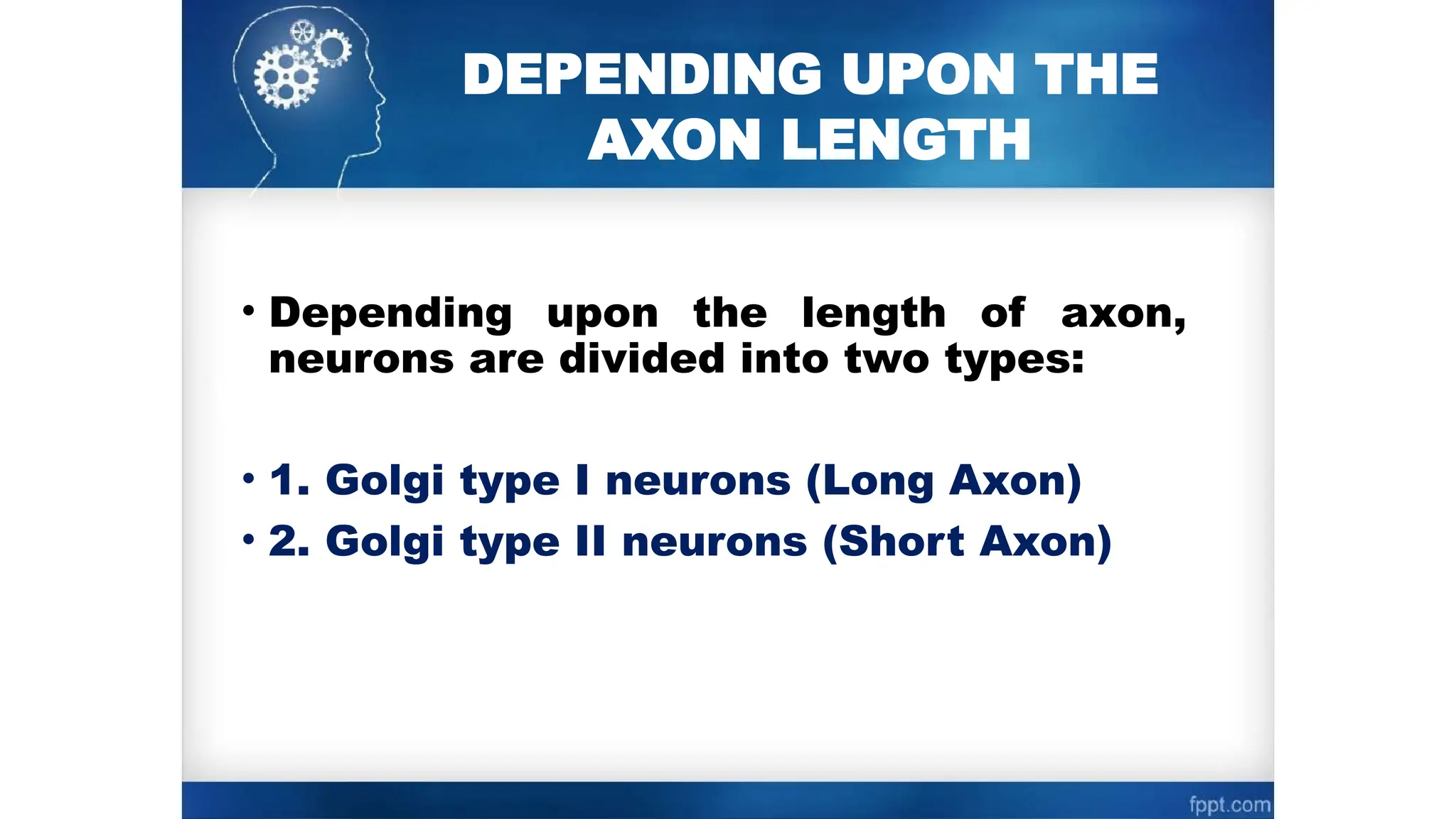 NERVOUS SYSTEM, CLASSIFICATION & STRUCTURE OF NEURON & NERVE FIBERS.pptx