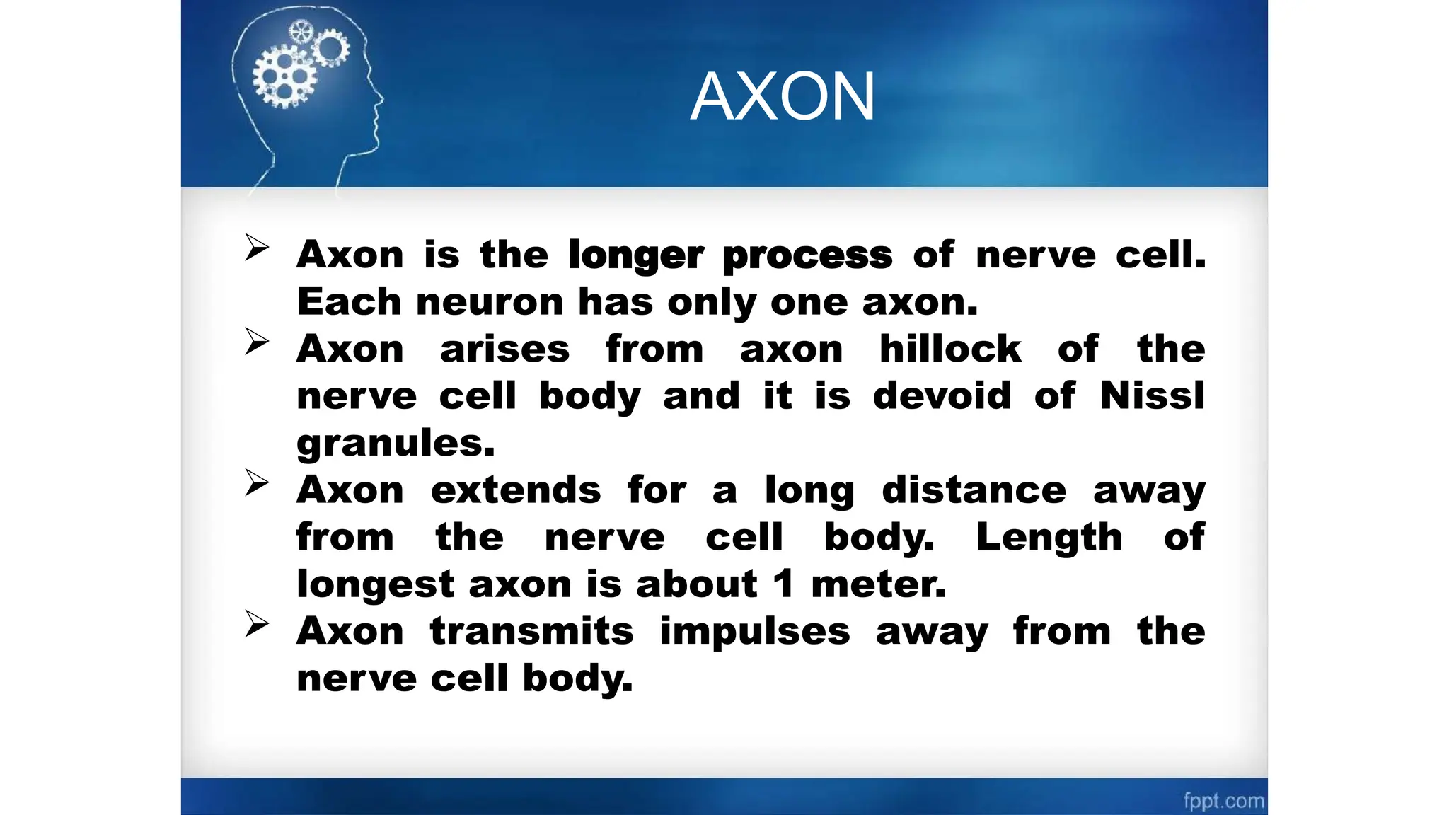 NERVOUS SYSTEM, CLASSIFICATION & STRUCTURE OF NEURON & NERVE FIBERS.pptx