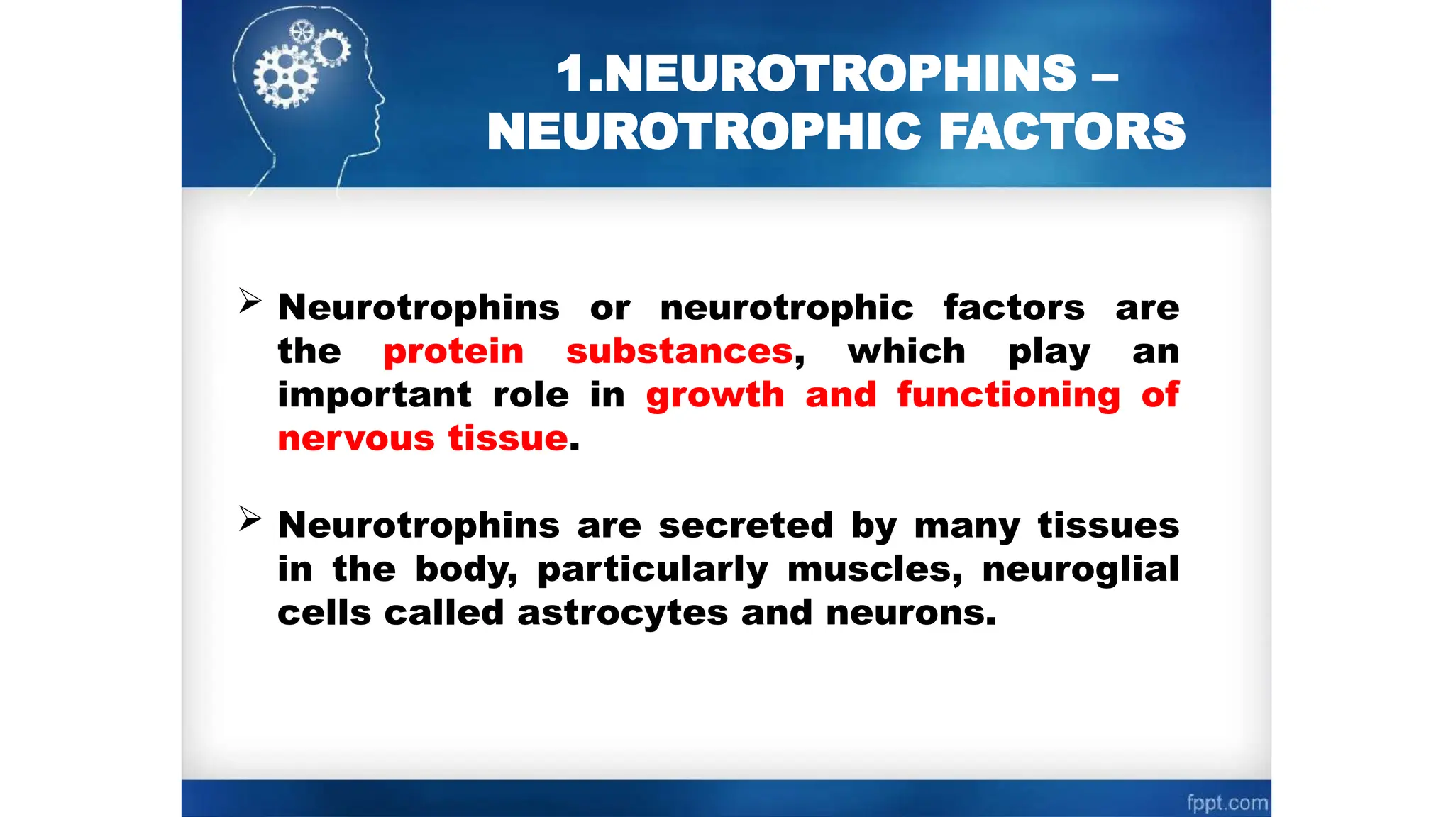 NERVOUS SYSTEM, CLASSIFICATION & STRUCTURE OF NEURON & NERVE FIBERS.pptx