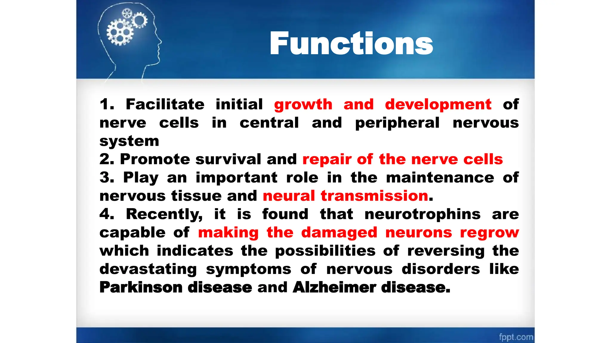 NERVOUS SYSTEM, CLASSIFICATION & STRUCTURE OF NEURON & NERVE FIBERS.pptx