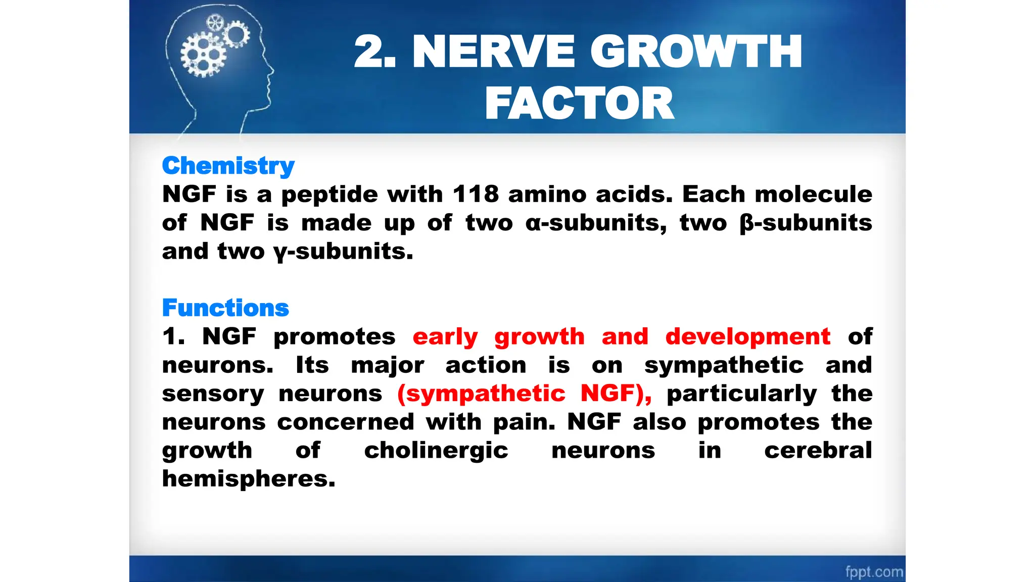 NERVOUS SYSTEM, CLASSIFICATION & STRUCTURE OF NEURON & NERVE FIBERS.pptx