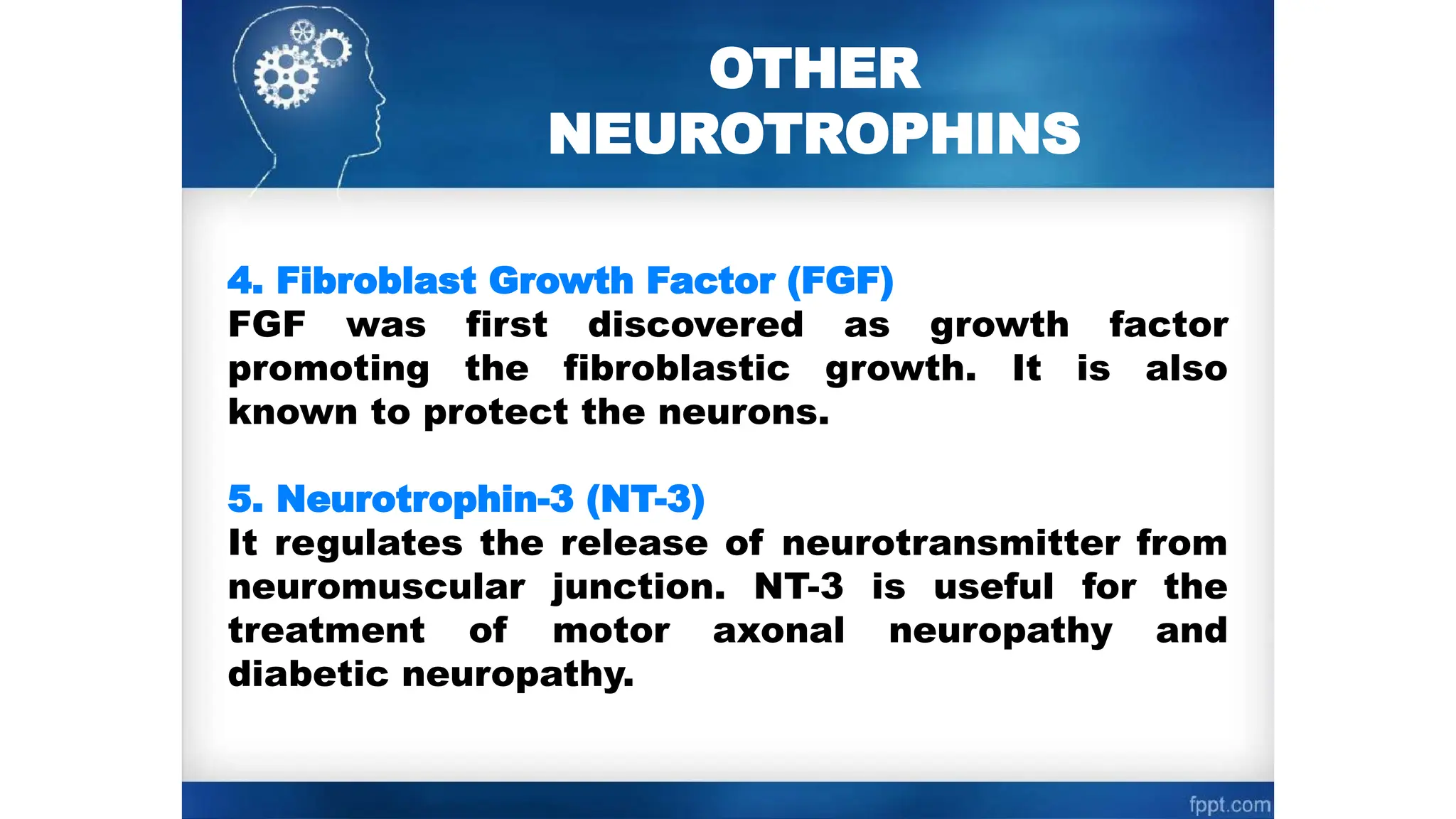 NERVOUS SYSTEM, CLASSIFICATION & STRUCTURE OF NEURON & NERVE FIBERS.pptx