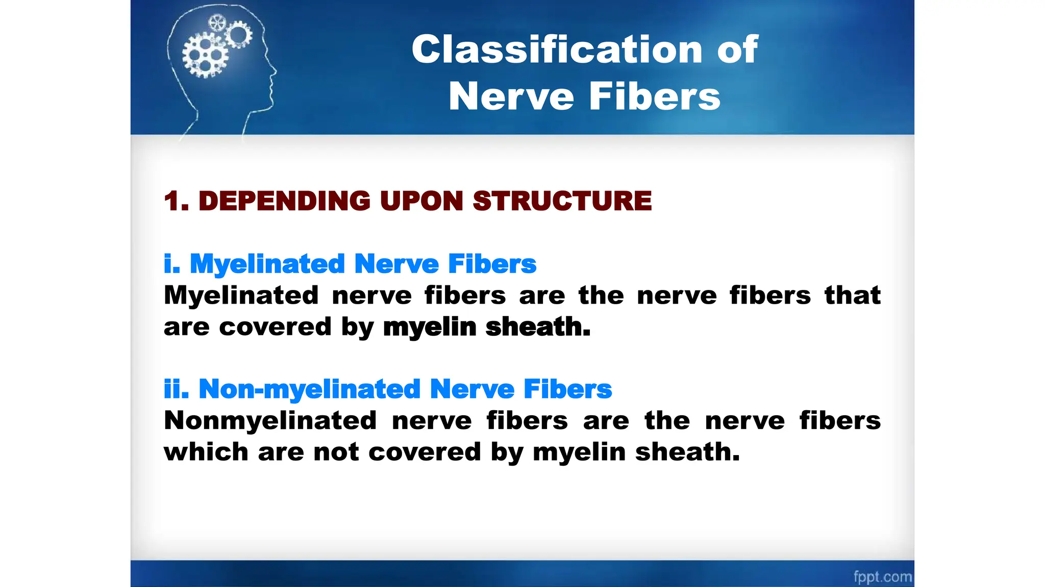 NERVOUS SYSTEM, CLASSIFICATION & STRUCTURE OF NEURON & NERVE FIBERS.pptx