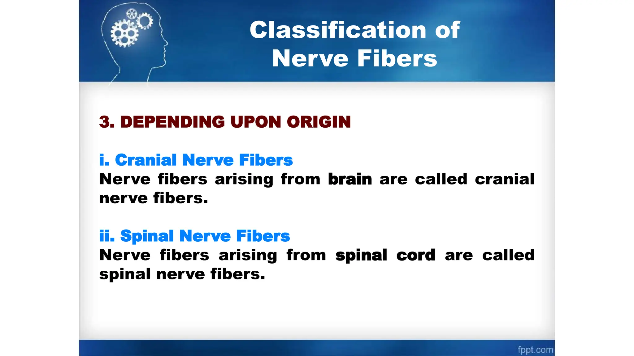 NERVOUS SYSTEM, CLASSIFICATION & STRUCTURE OF NEURON & NERVE FIBERS.pptx