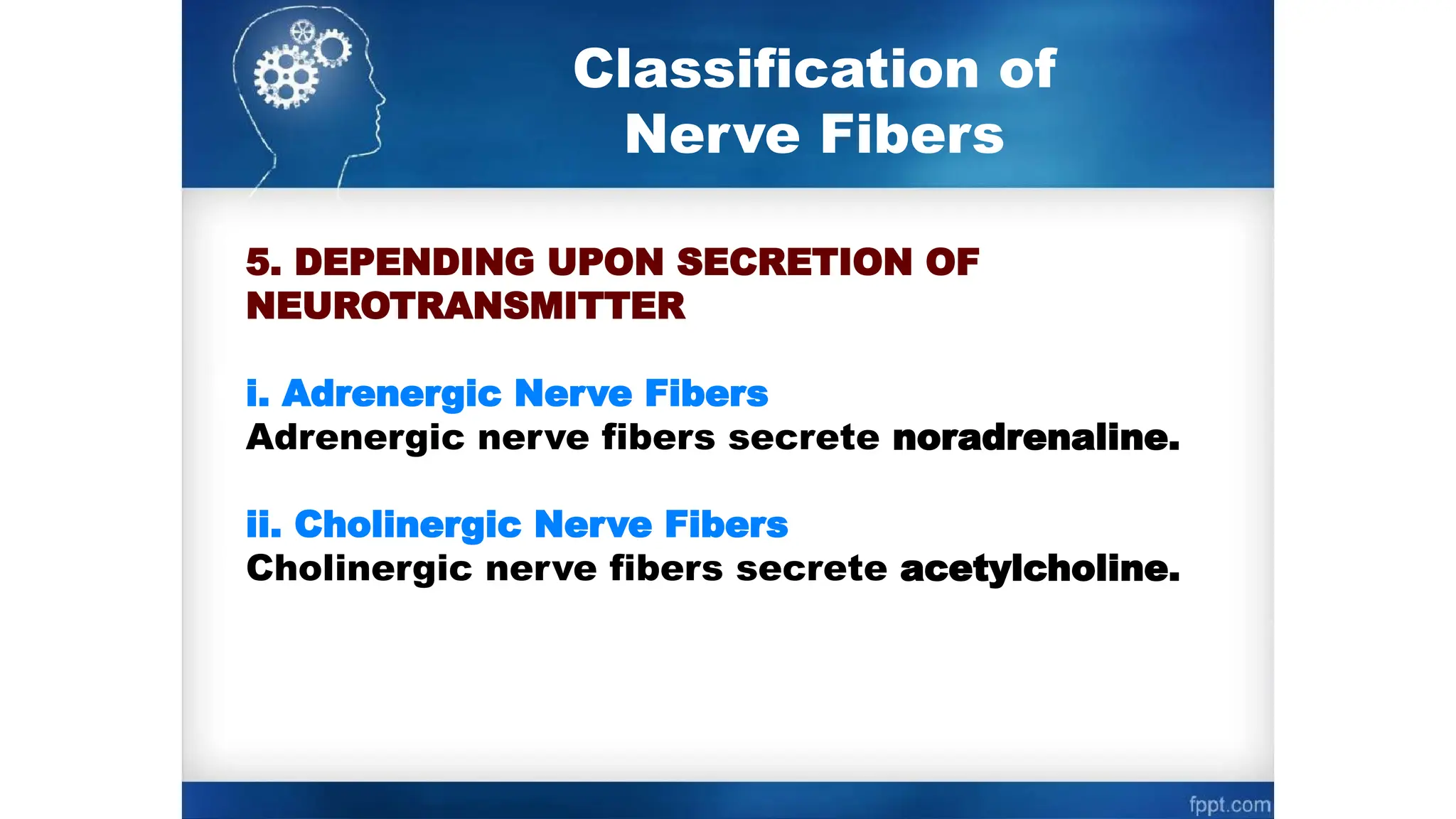 NERVOUS SYSTEM, CLASSIFICATION & STRUCTURE OF NEURON & NERVE FIBERS.pptx