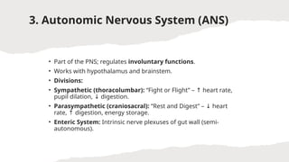 Comparative anatomy of Nervous system CNS & PNS.pptx