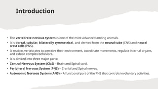 Comparative anatomy of Nervous system CNS & PNS.pptx