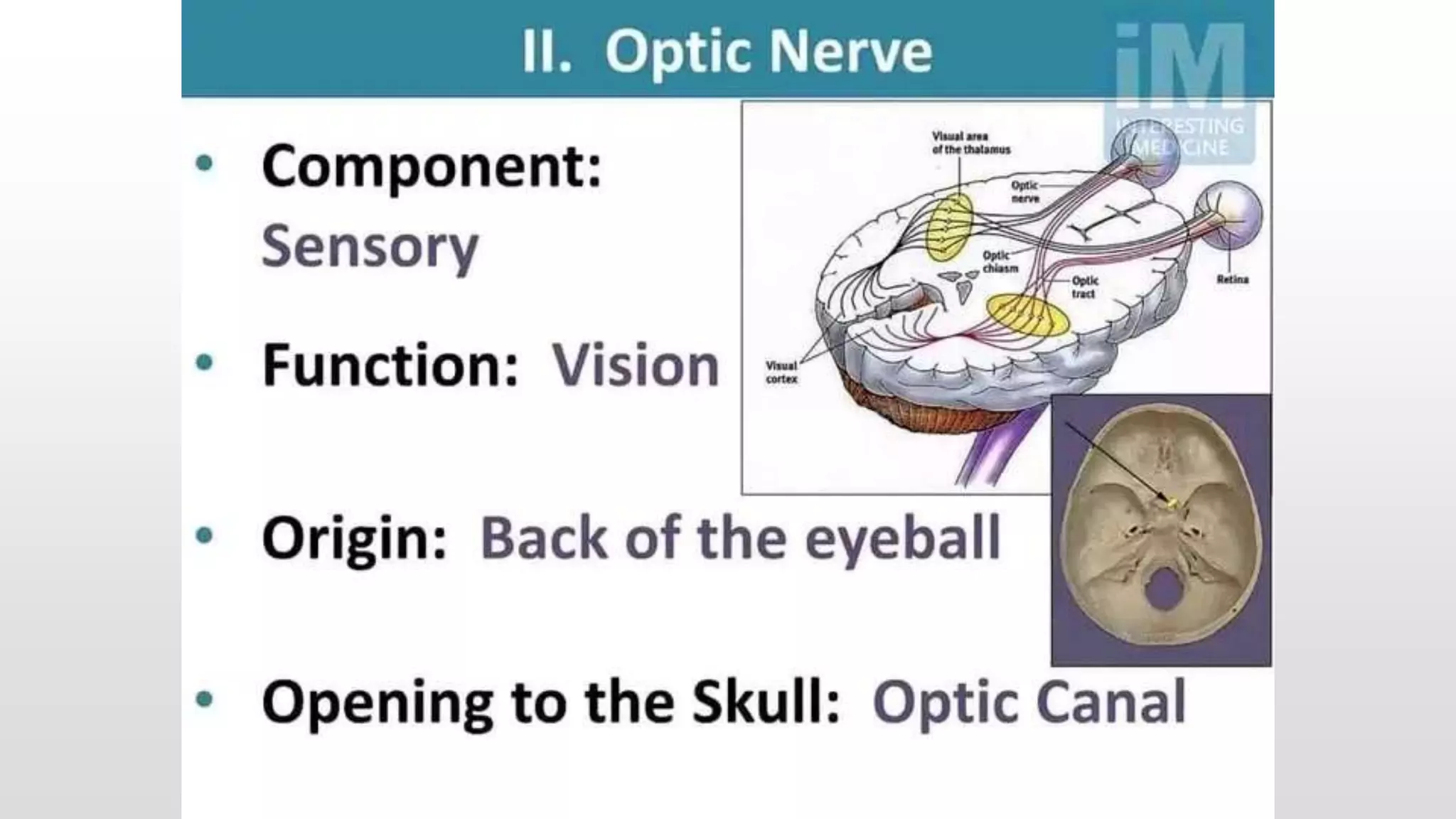 NERVOUS SYSTEM ANATOMY AND PHYSIOLOGY 2 SLIDESHARE share | PPTX