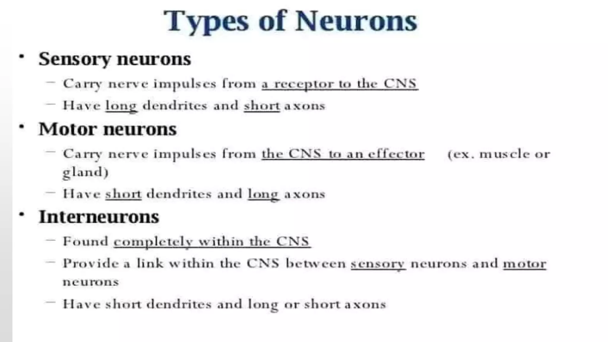 NERVOUS SYSTEM ANATOMY AND PHYSIOLOGY 2 SLIDESHARE share | PPTX