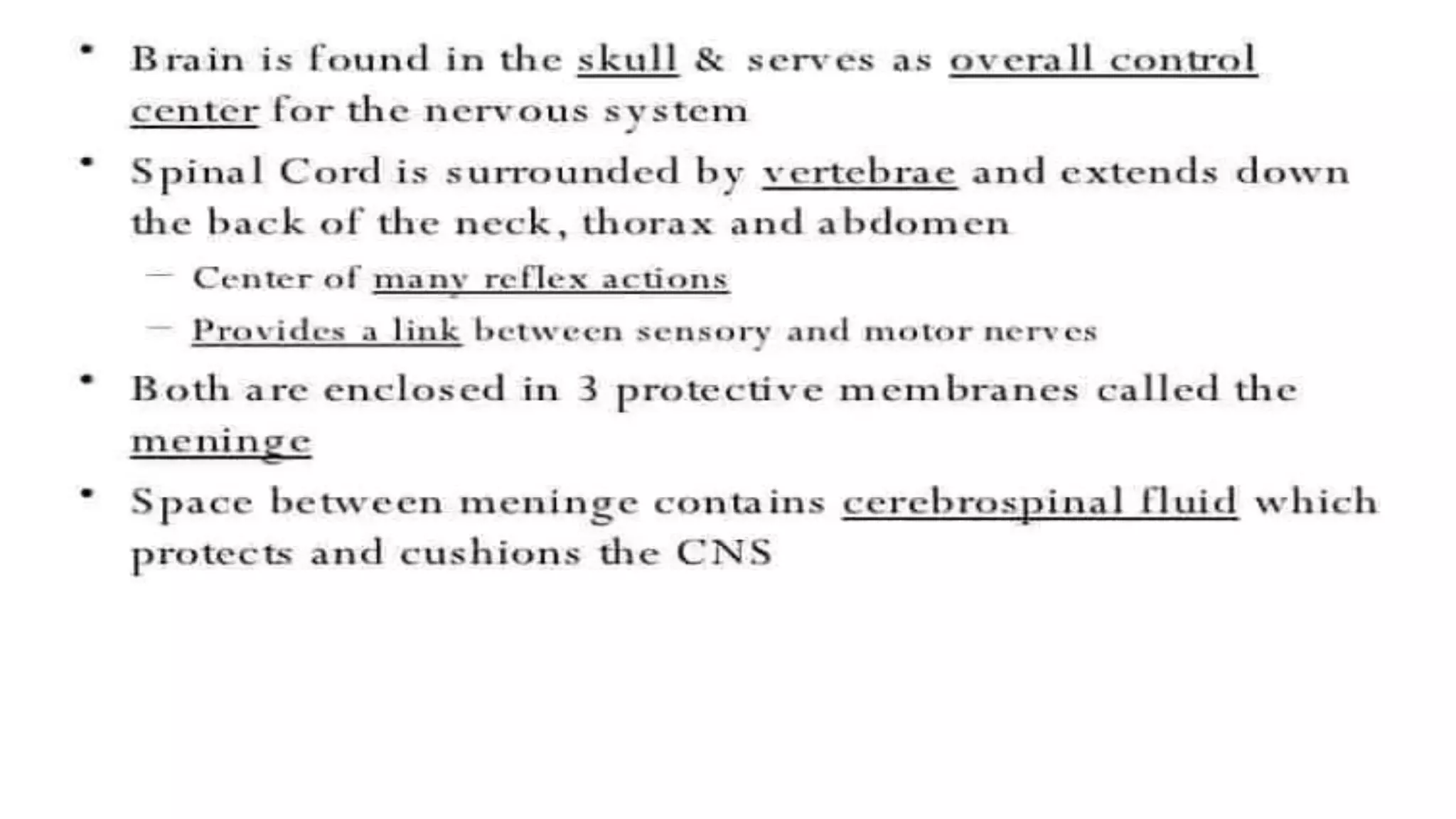 NERVOUS systems slideshare | PPTX