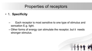 Nervous system | PPTX | Brain and Nervous System Disorders | Diseases ...