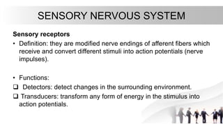 Nervous system | PPTX | Brain and Nervous System Disorders | Diseases ...