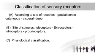 Nervous system | PPTX