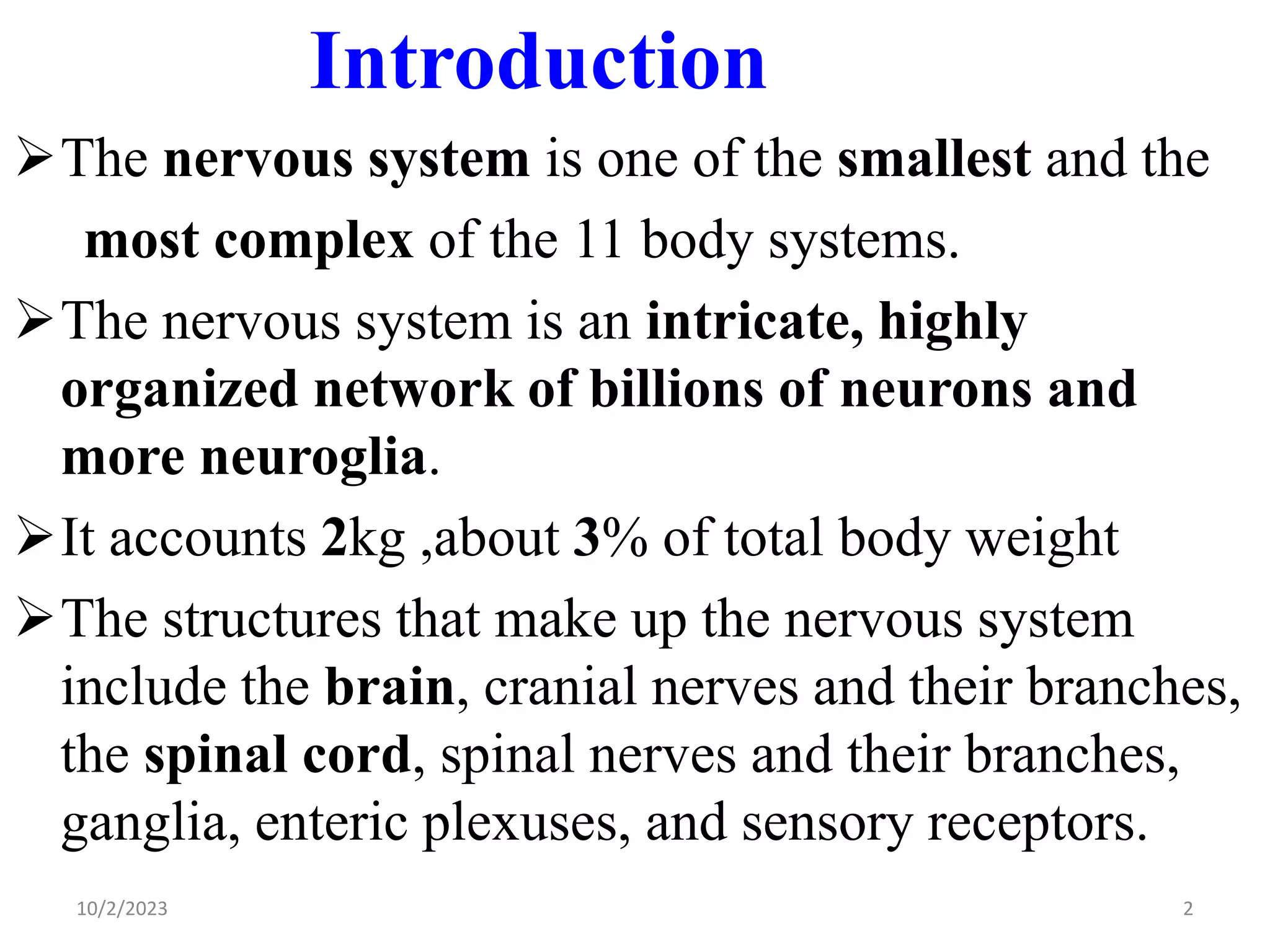nervous system edited .ppt