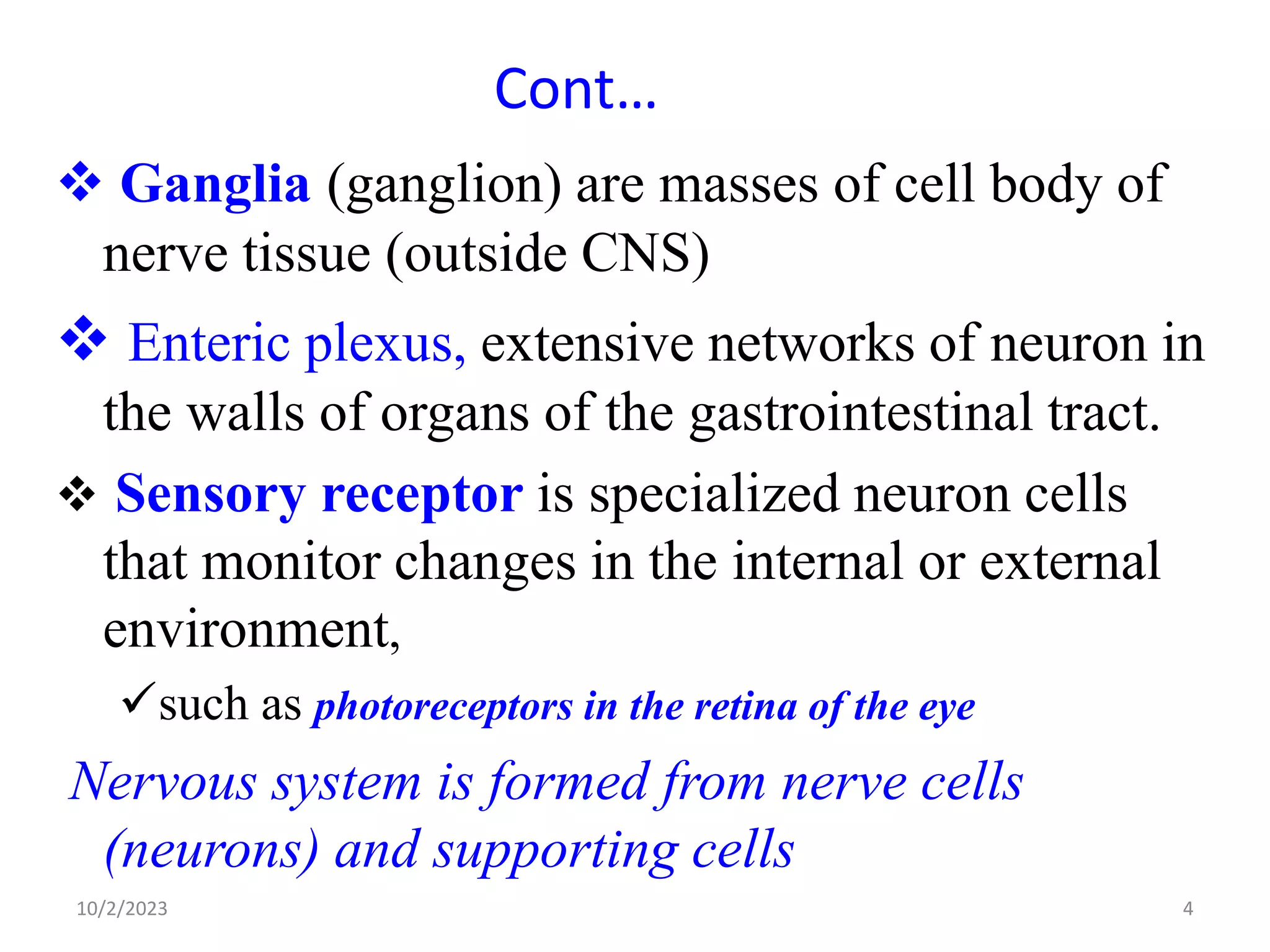 nervous system edited .ppt