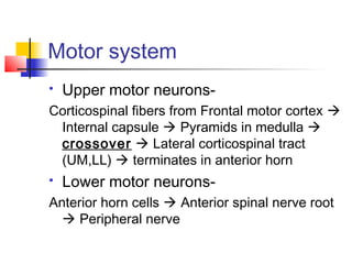 Nervous system exam | PPT