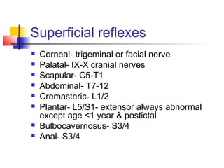 Nervous system exam | PPT