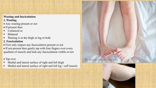 Nervous system examination | PPTX