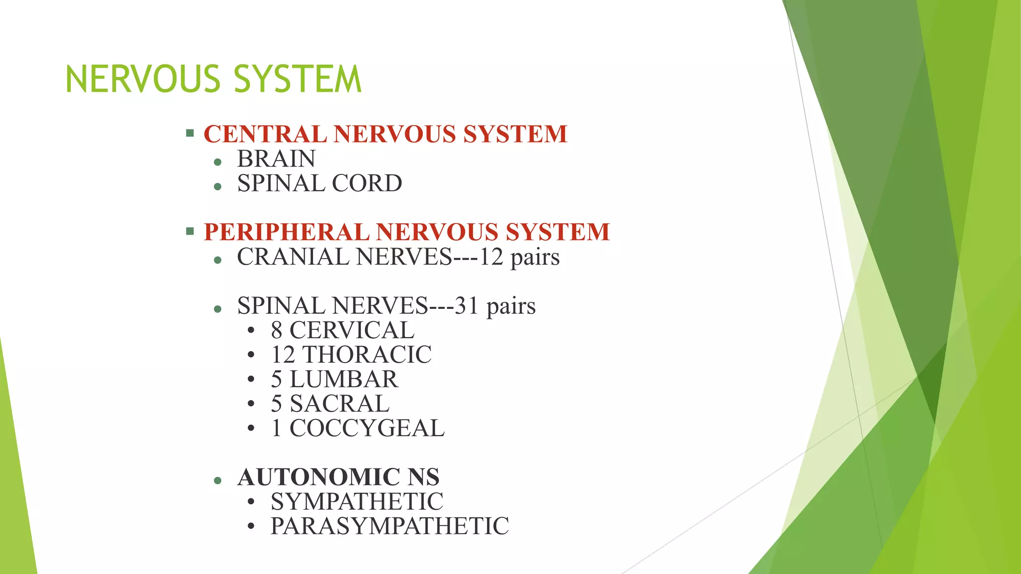 Nervous system exam part 1 | PPT