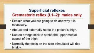 Nervous system exam part 2 | PPTX
