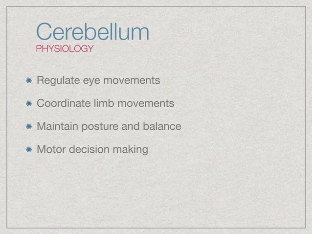 Nervous System Presentation | PPT