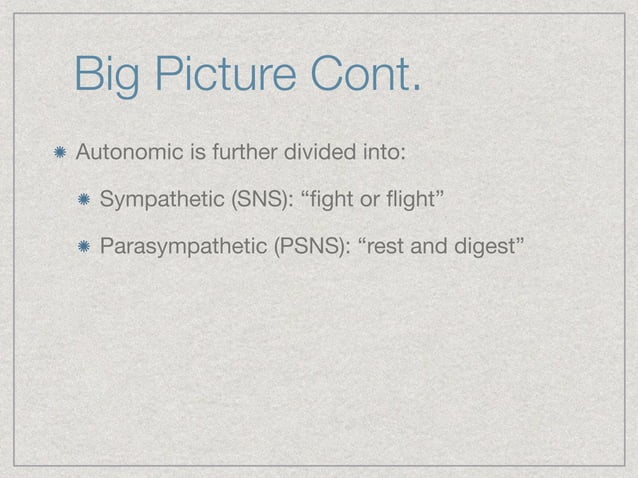 Nervous System Presentation | PPT
