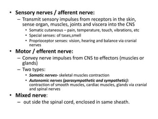 Nervous System for nursing students - GNM first year1.pptx
