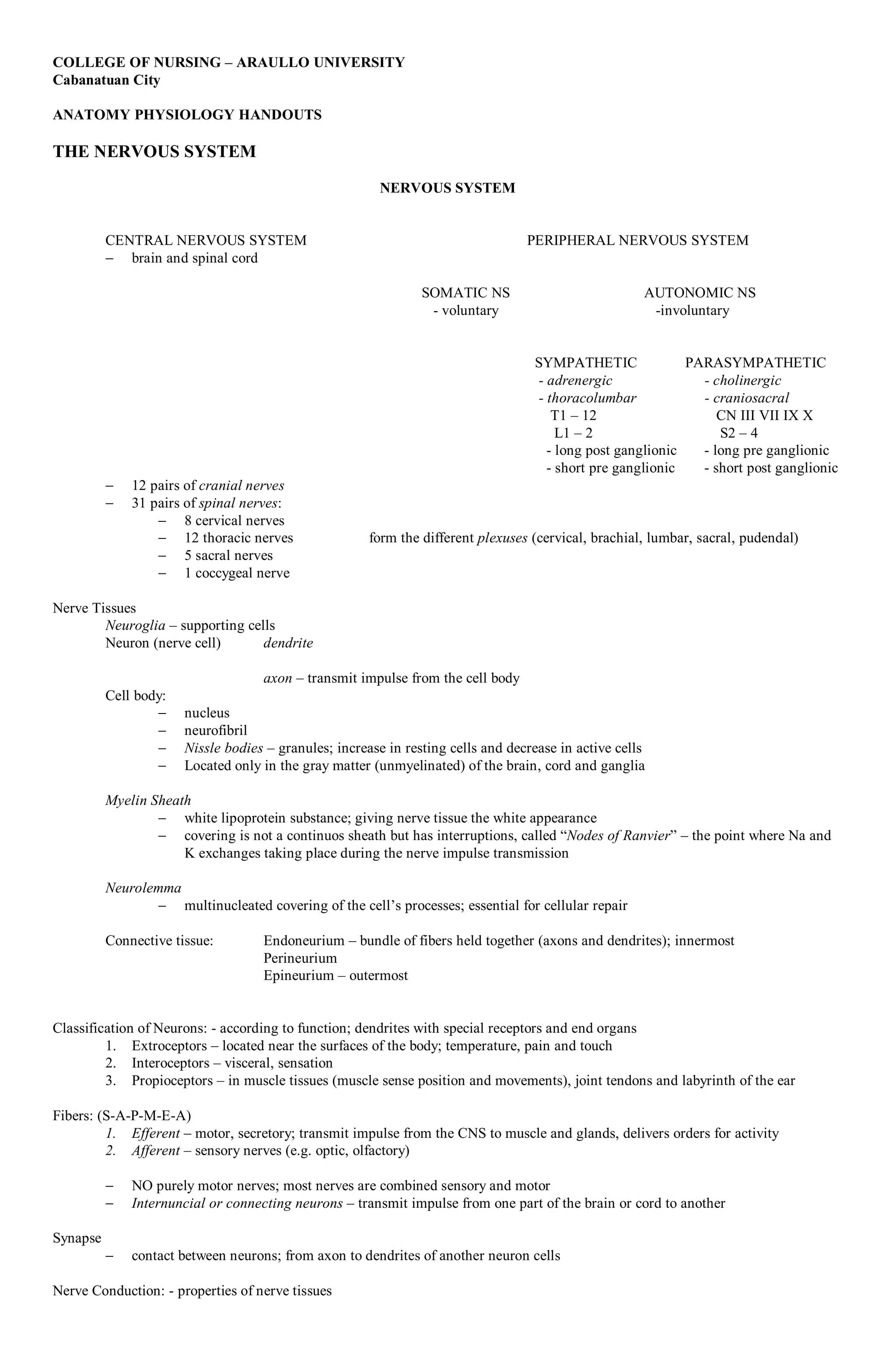 Nervous System handouts | PPT