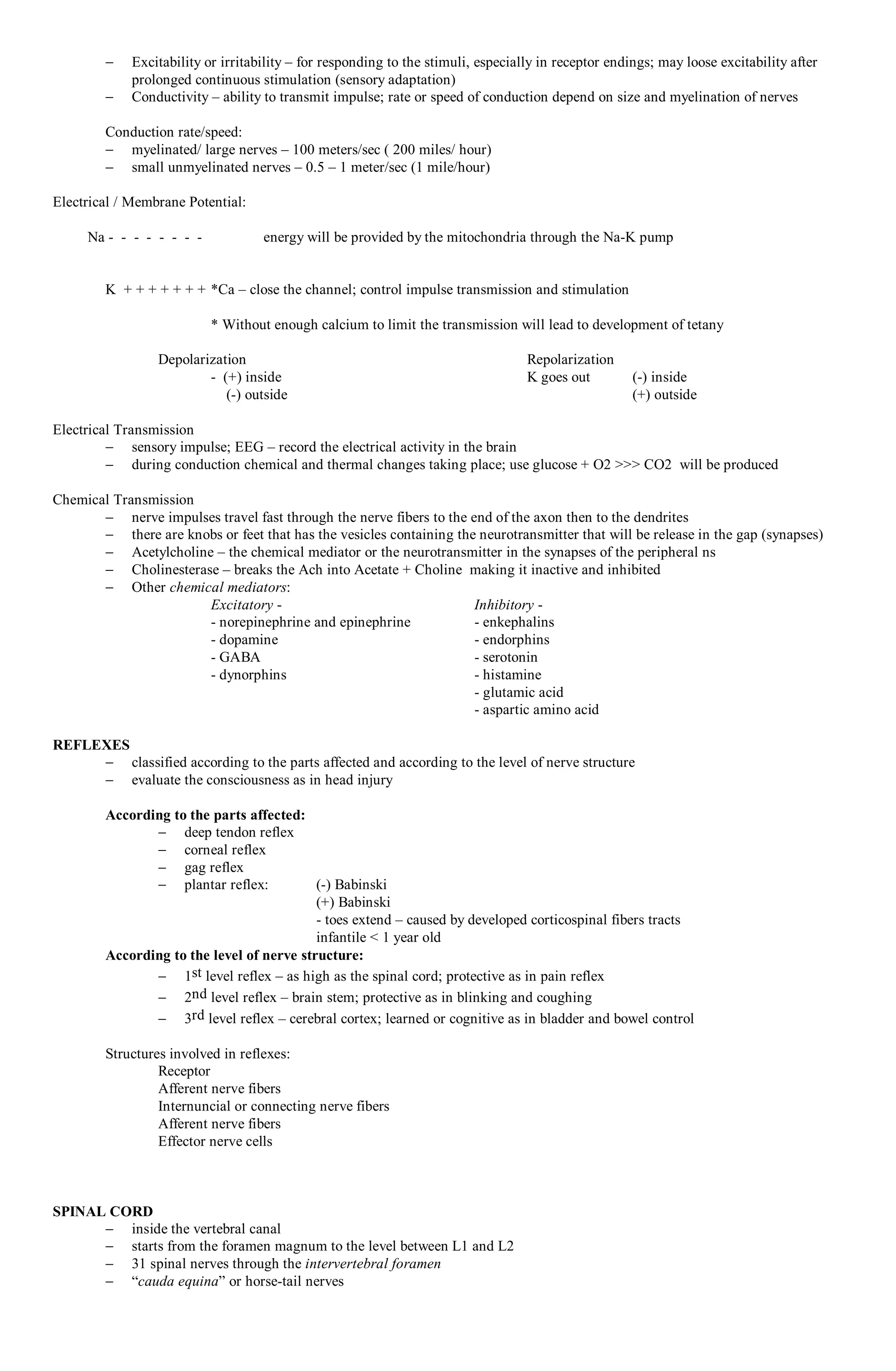 Nervous System handouts | PPT