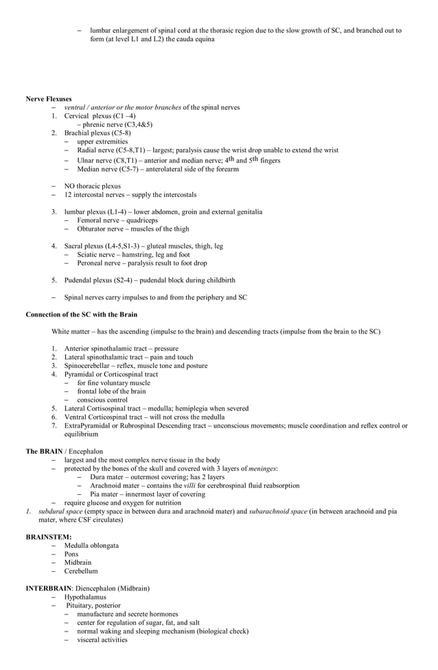 Nervous System handouts | PPT