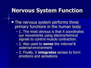 Nervous system intro | PPT