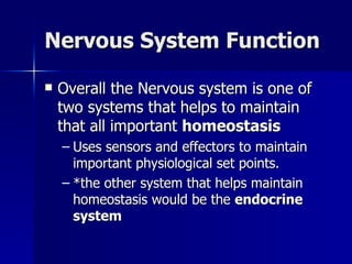 Nervous system intro | PPT
