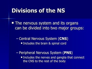 Nervous system intro | PPT