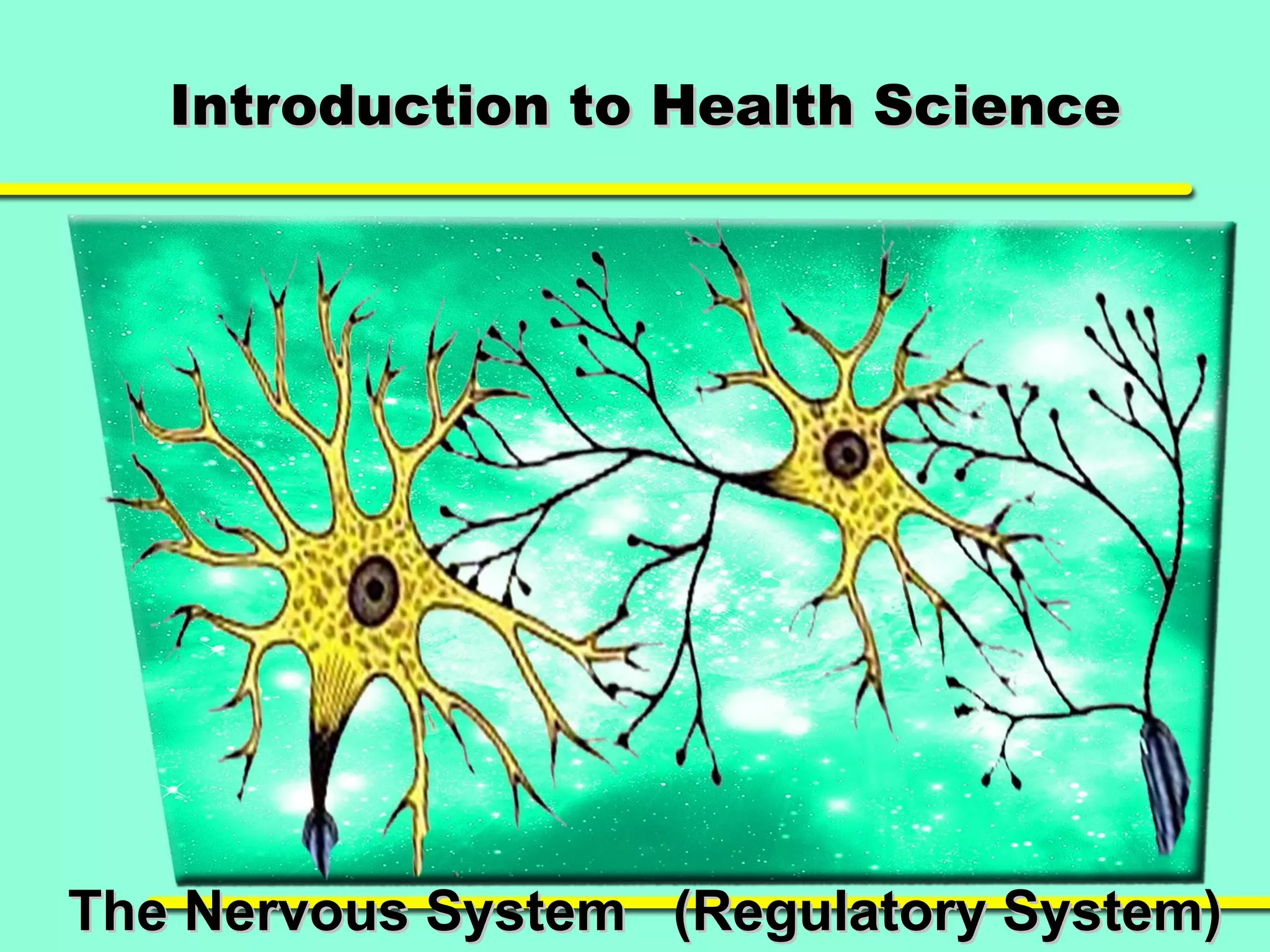 Nervous system intro | PPT