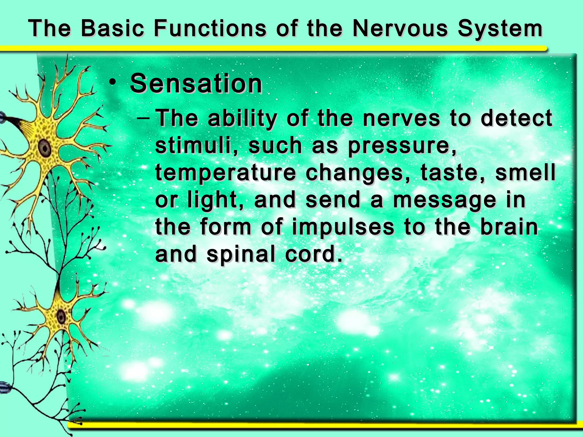 Nervous system intro | PPT