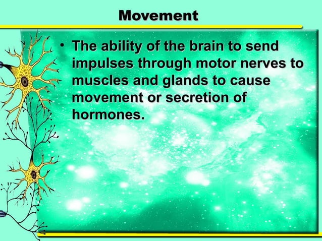 Nervous system intro | PPT