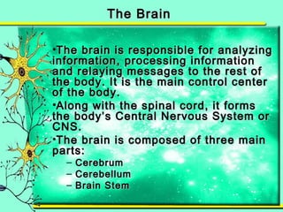 Nervous system intro | PPT