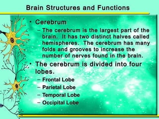 Nervous system intro | PPT