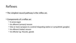 Physiology of the Nervous system introduction-1.pptx