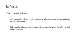 Physiology of the Nervous system introduction-1.pptx