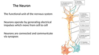 Physiology of the Nervous system introduction-1.pptx
