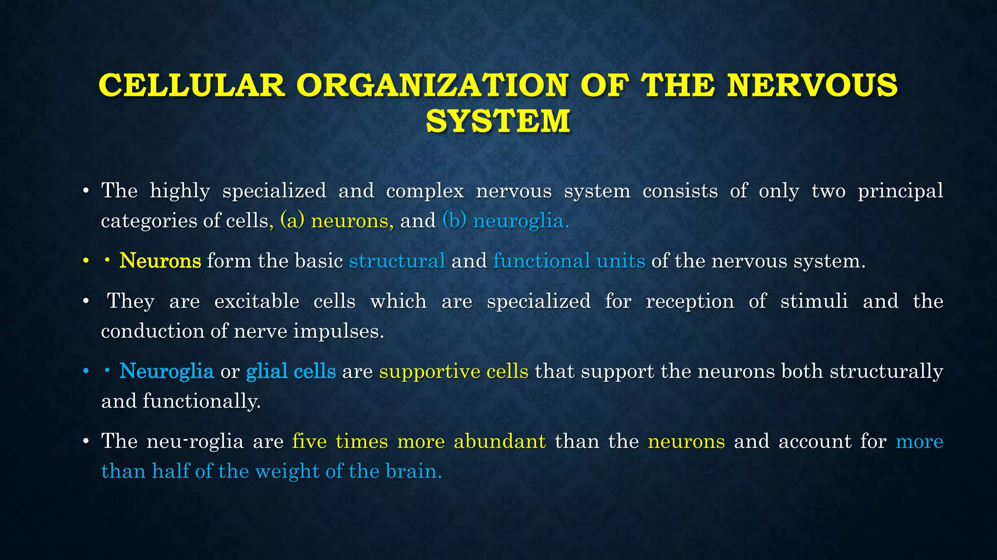 Nervous system introduction | PPT